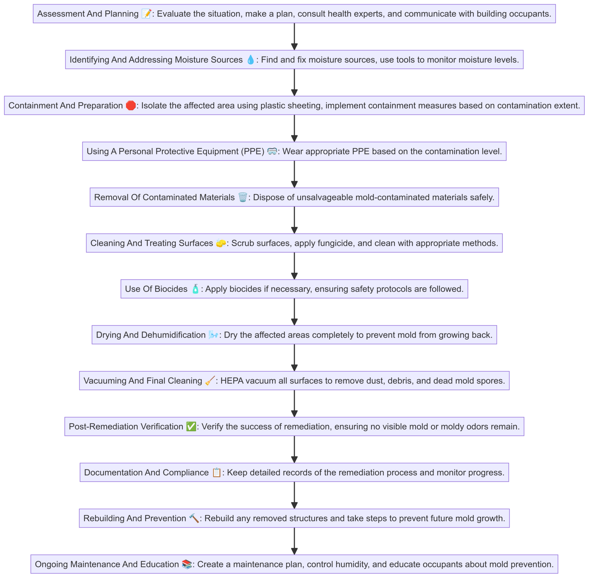 Mold Remediation Process: 12 Steps And Techniques For Effective Removal ...