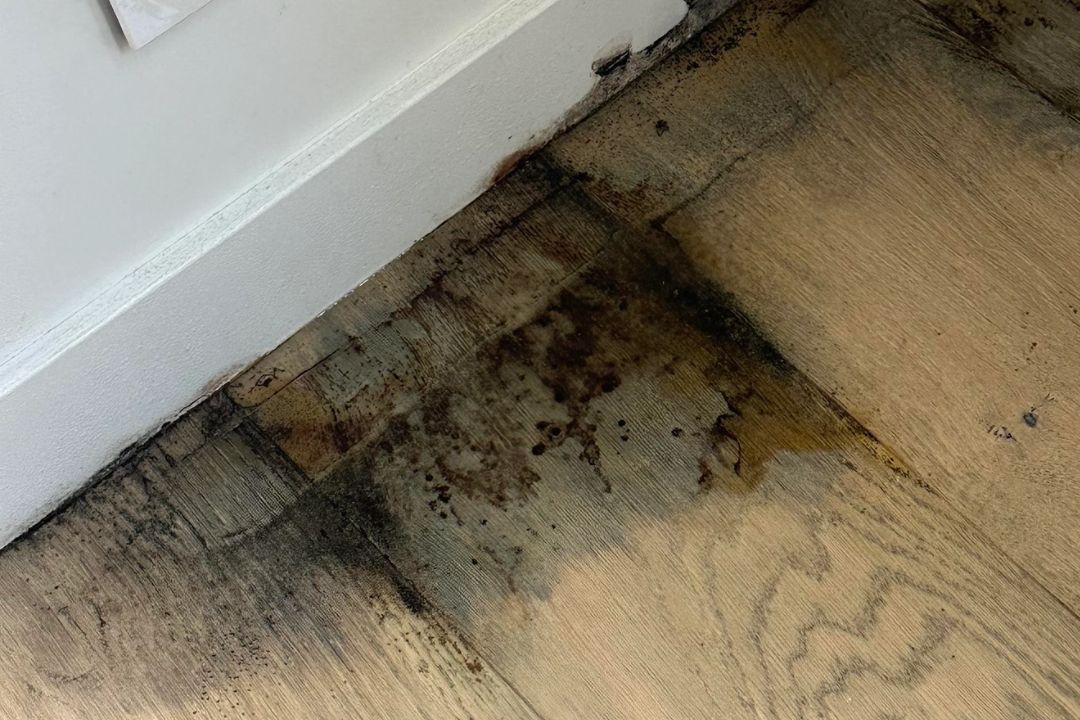 Mold Under Hardwood Floors: Signs, Health Risks And Removal Tips